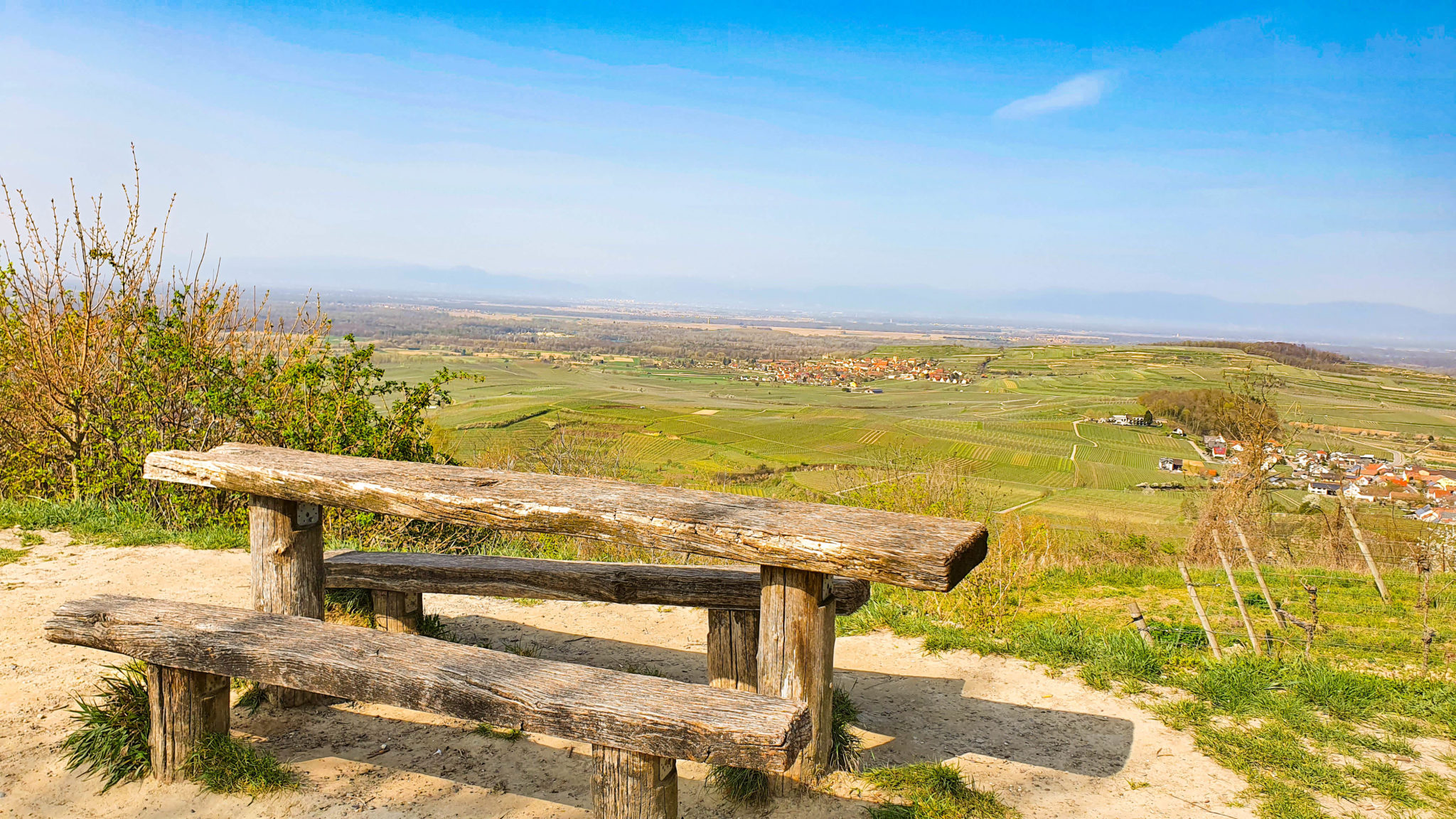 Kaiserstuhl-Runde ab Oberbergen: Viehweide, Baßgeige und Mondhalde ...