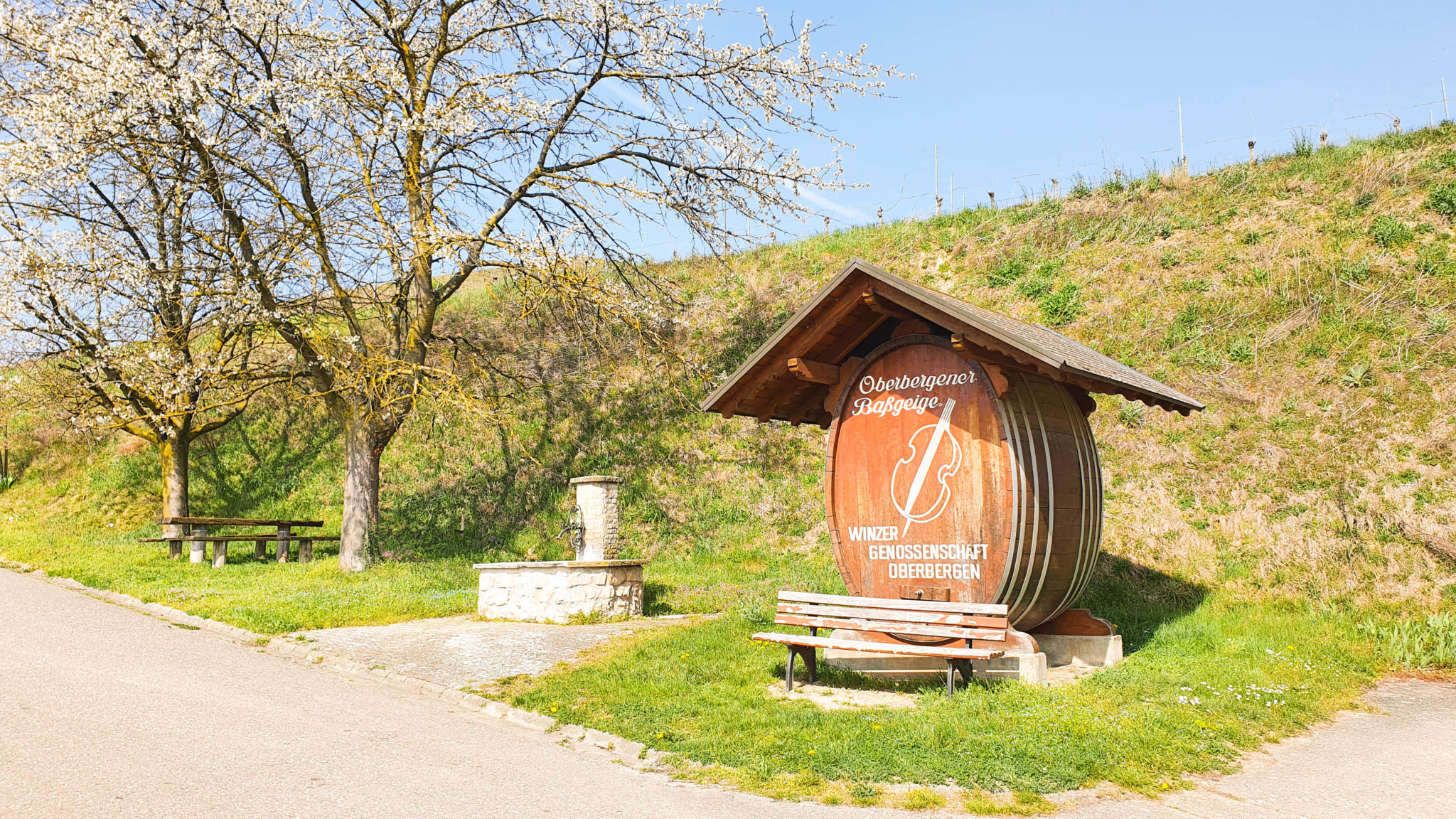 Kaiserstuhl-Runde ab Oberbergen: Viehweide, Baßgeige und Mondhalde ...